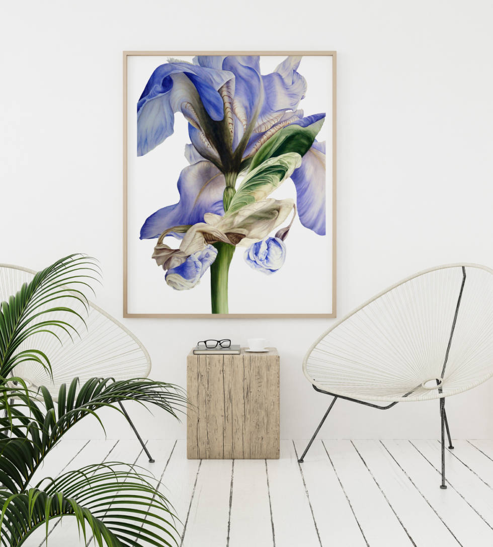 ArtPrint Shop | Marie Burke Art
