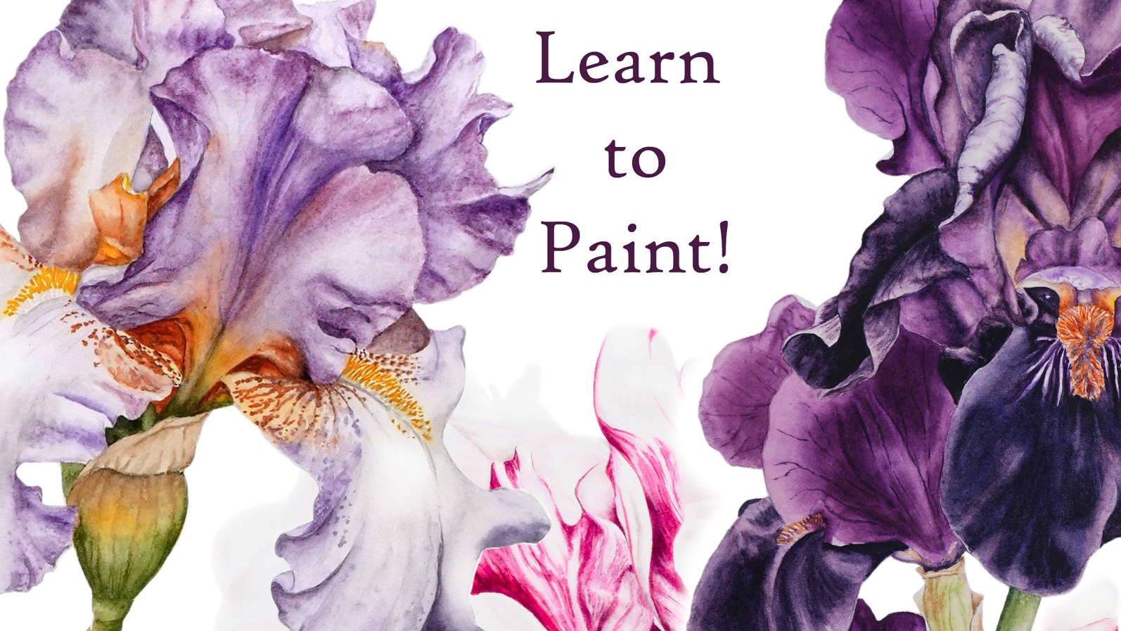 40%off Membership Offer | Marie Burke Art