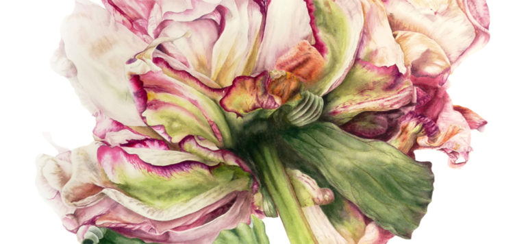 The Watercolor Members Club | Marie Burke Art