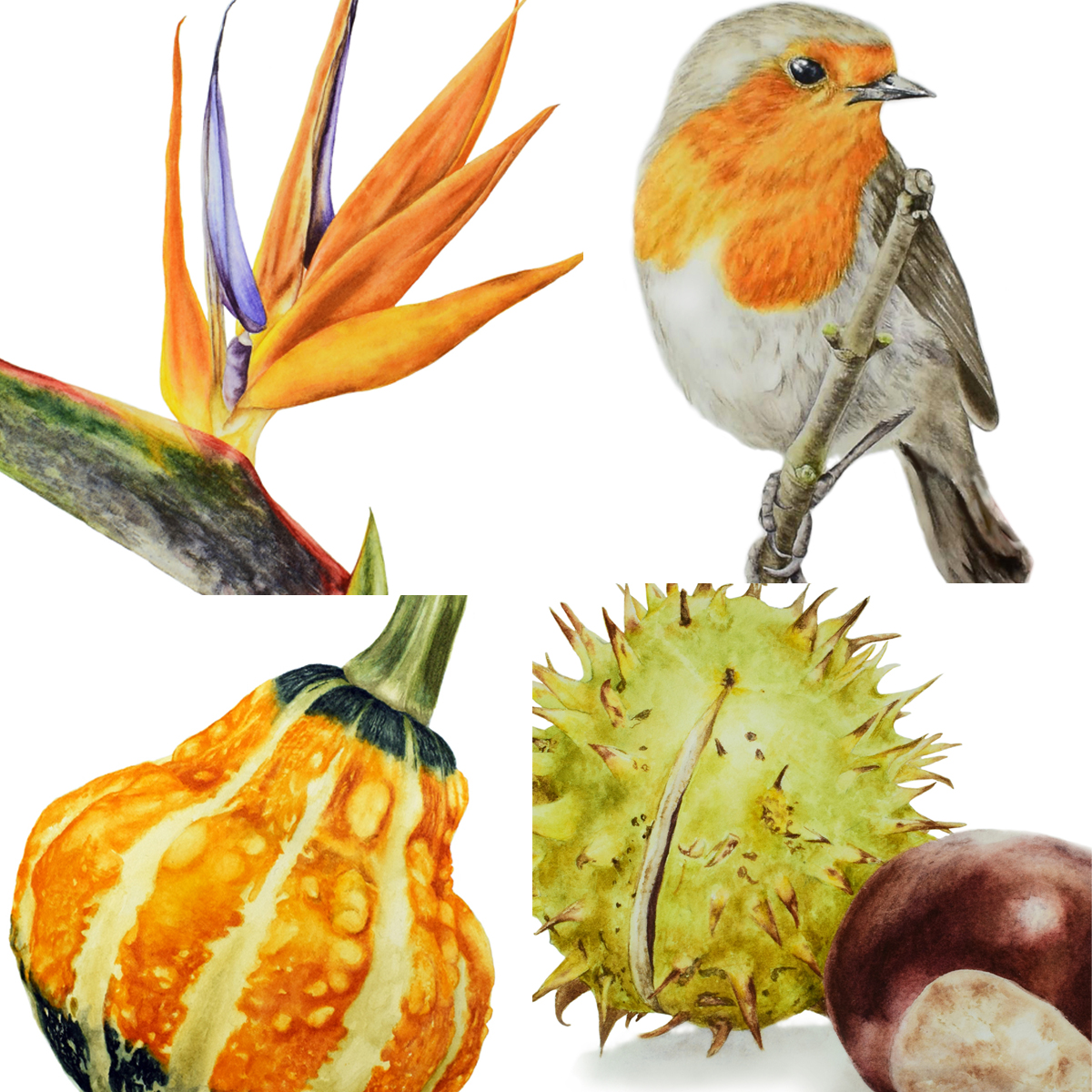 50 month registration | Marie Burke Art